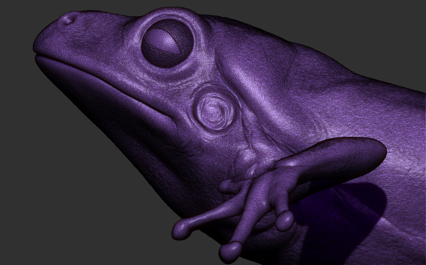 ArtStation - Frog 3D Printing | Resources