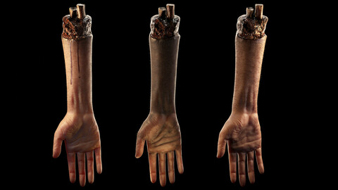 ArtStation - Hand -Arm Severed low poly | Game Assets