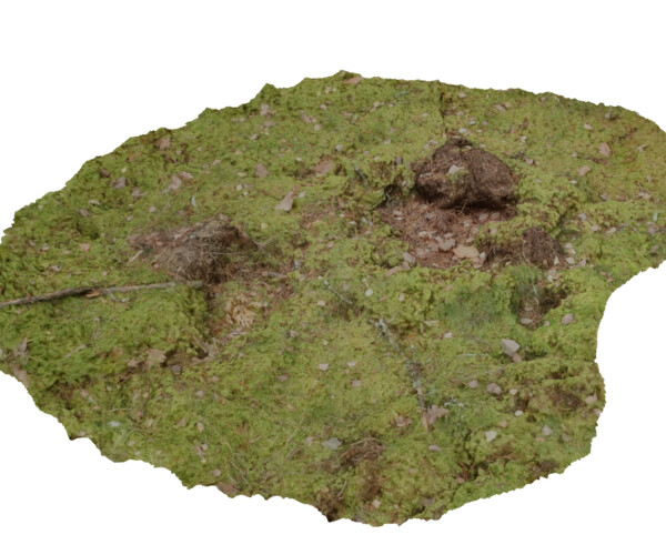 ArtStation - Bumpy mossy ground with patches | Resources