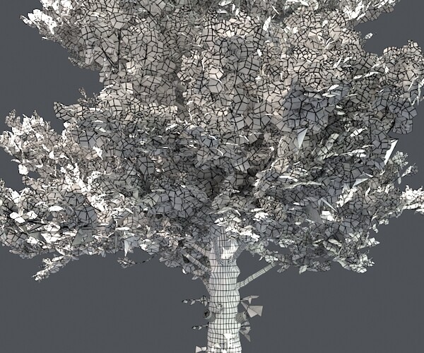 ArtStation - Sugar Maple Tree | Resources