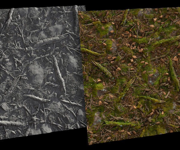 ArtStation - Forest ground | Game Assets