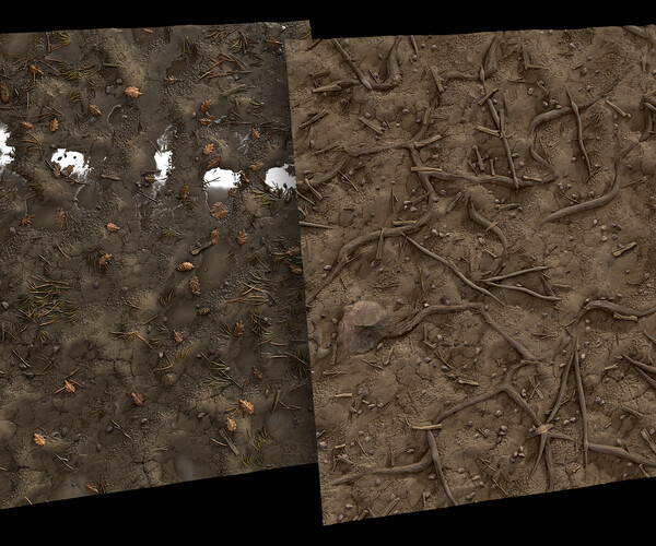 ArtStation - Forest ground | Game Assets