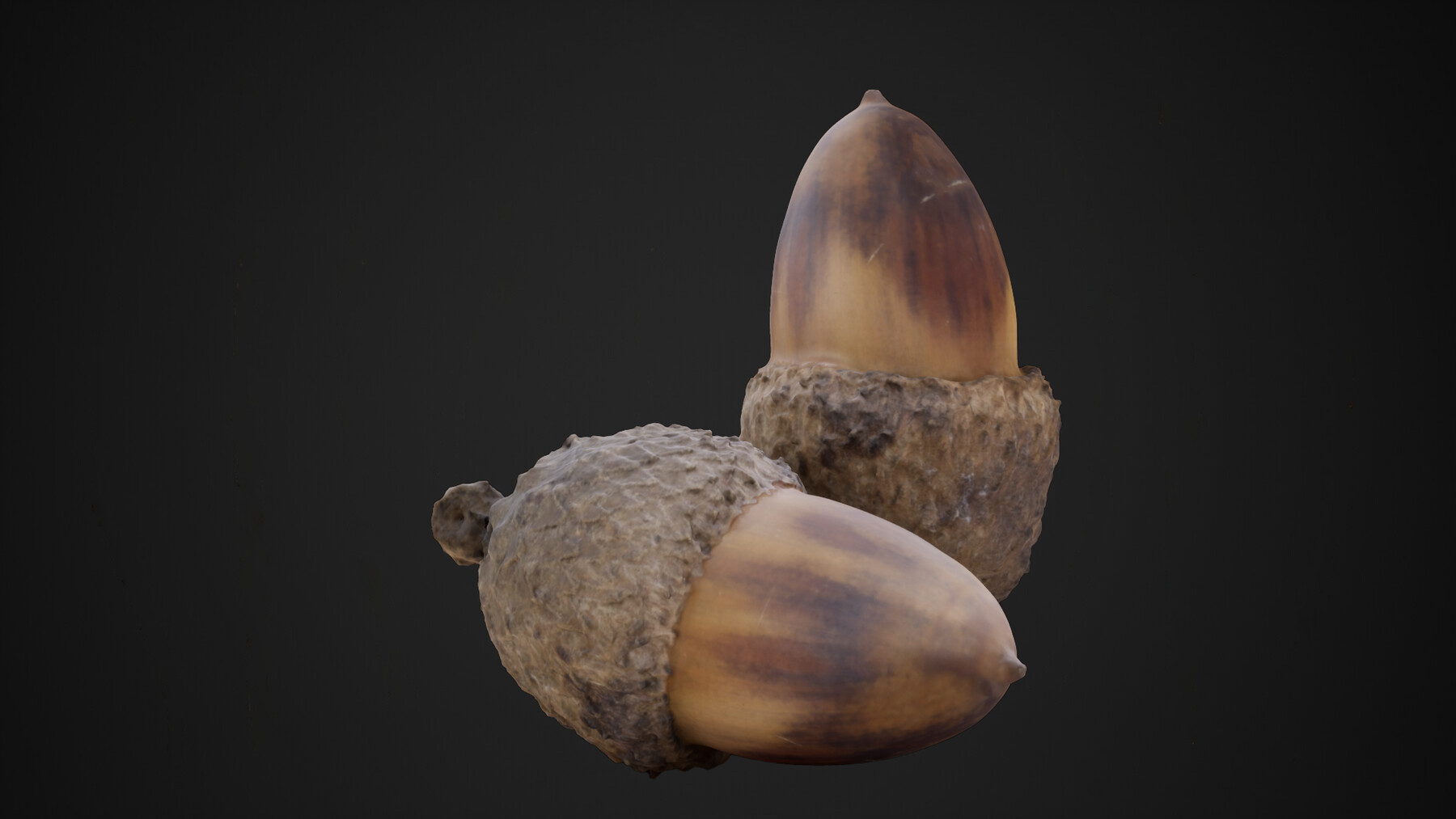 ArtStation - Acorn 4K Photoscanned | Game Assets