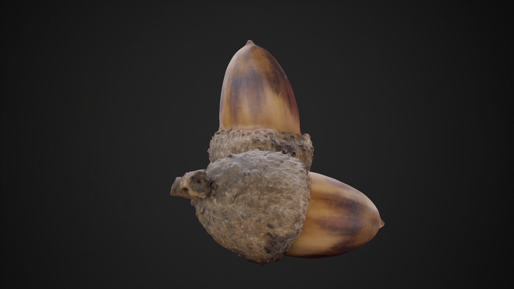 ArtStation - Acorn 4K Photoscanned | Game Assets