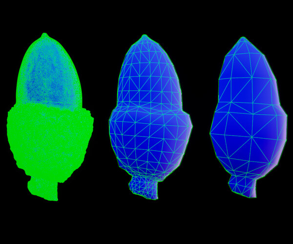 ArtStation - Acorn 4K Photoscanned | Game Assets
