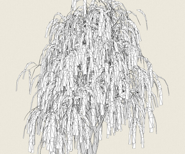 ArtStation - Willow Tree Collection | Resources