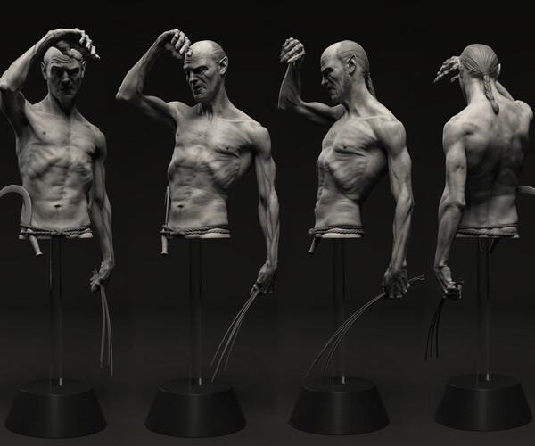 ArtStation - Old Man Elf Bust | Resources