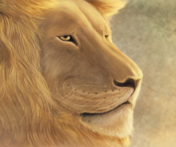 ArtStation - Wild cat | Artworks