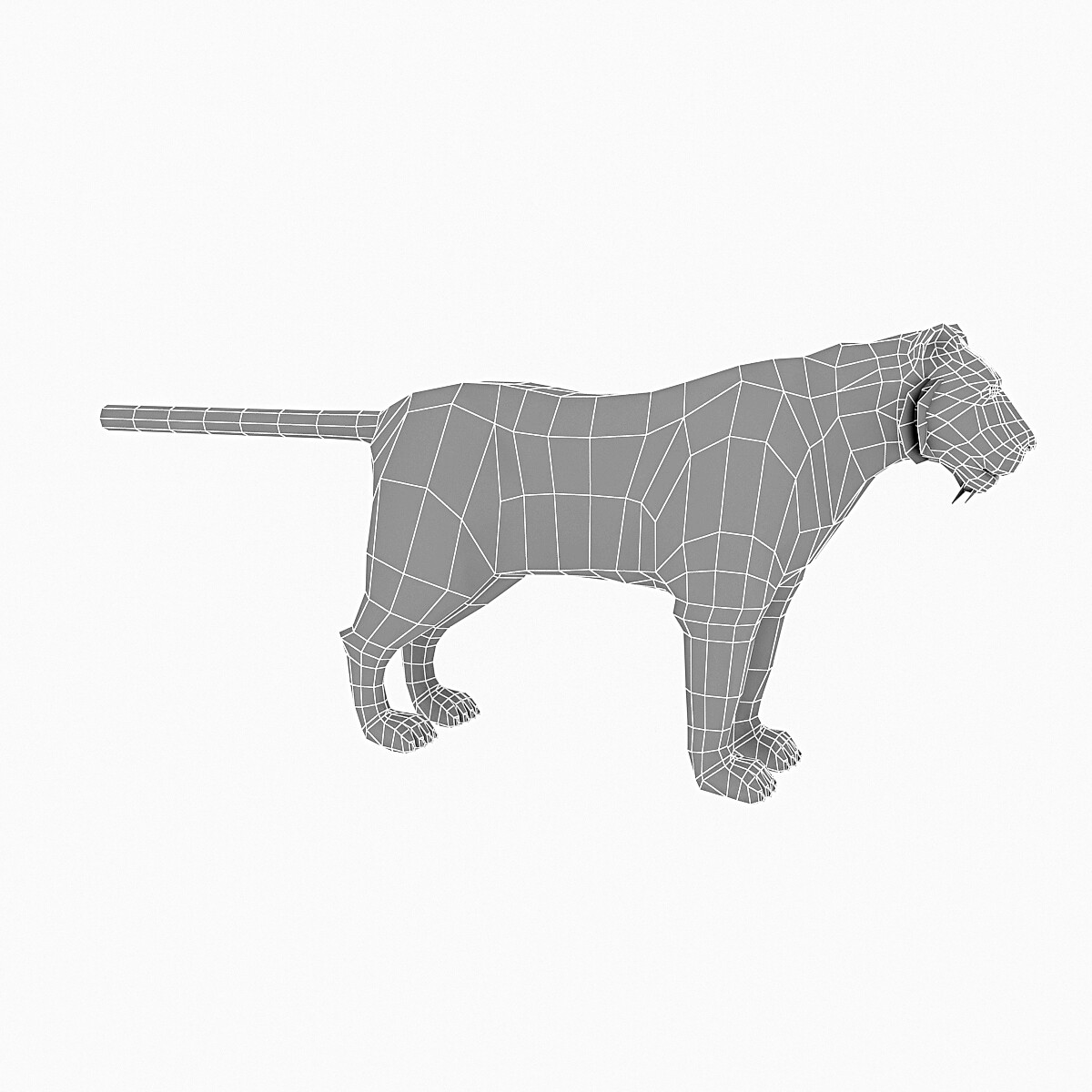 ArtStation - 3D model low poly tiger base model | Resources