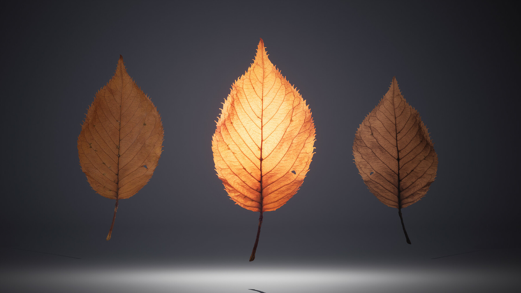 ArtStation - Leaf Pack Scanned | Game Assets