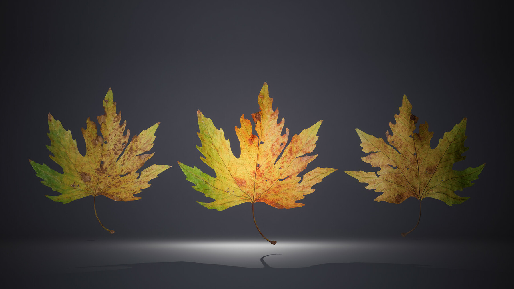 ArtStation - Leaf Pack Scanned | Game Assets