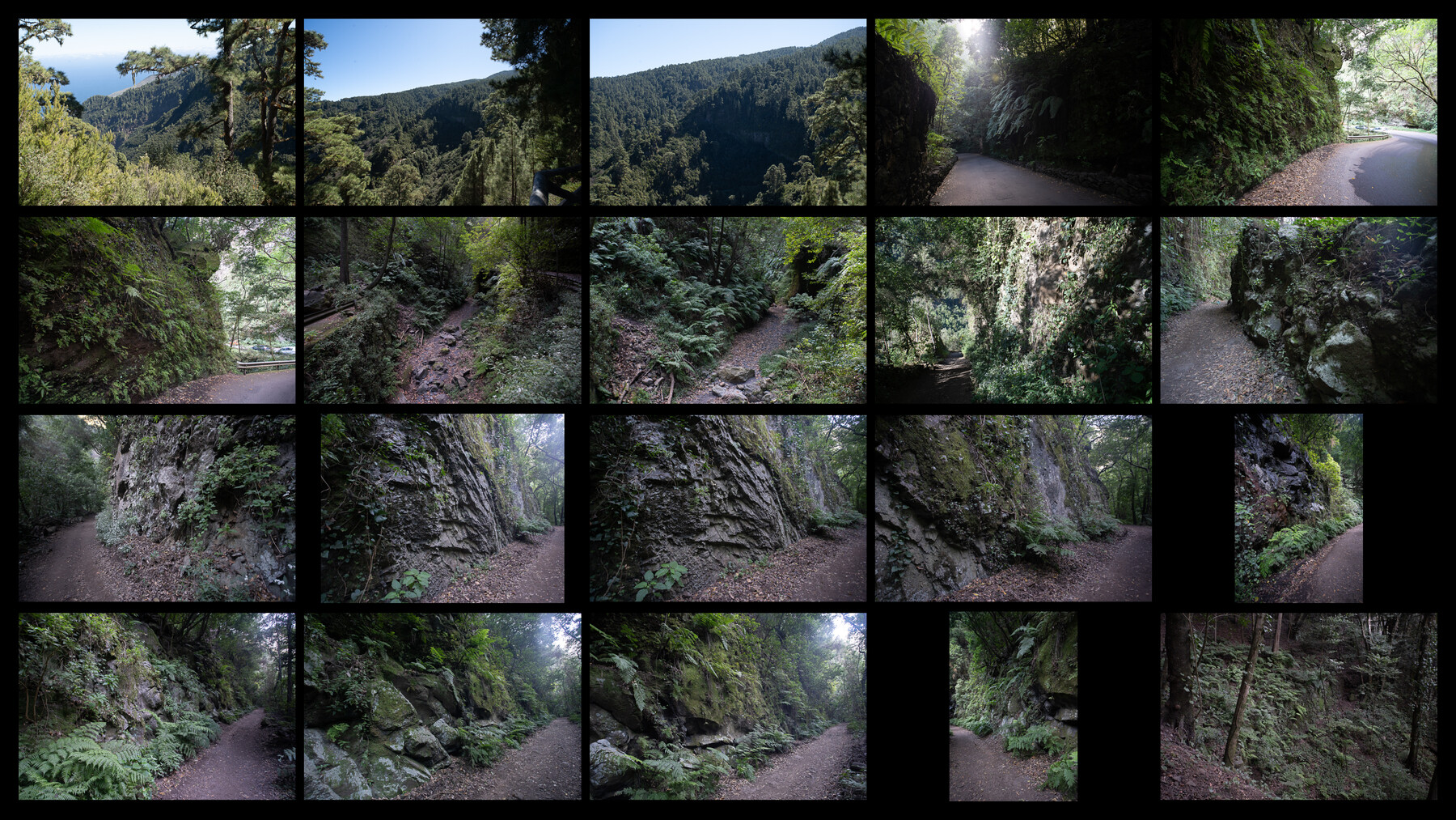 ArtStation - Mystical Valley Reference Pack | Resources