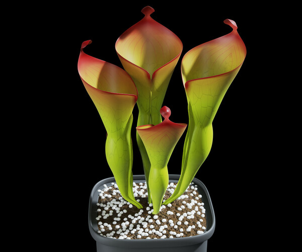 ArtStation - 3D Sun pitchers | Resources