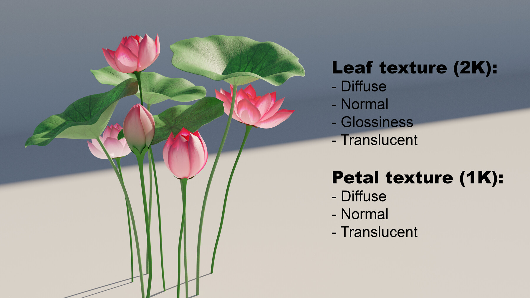 ArtStation - Realistic Lotus model | Resources