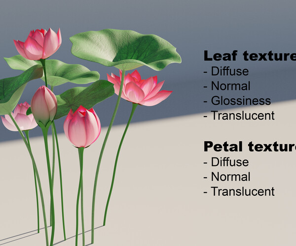 ArtStation - Realistic Lotus model | Resources