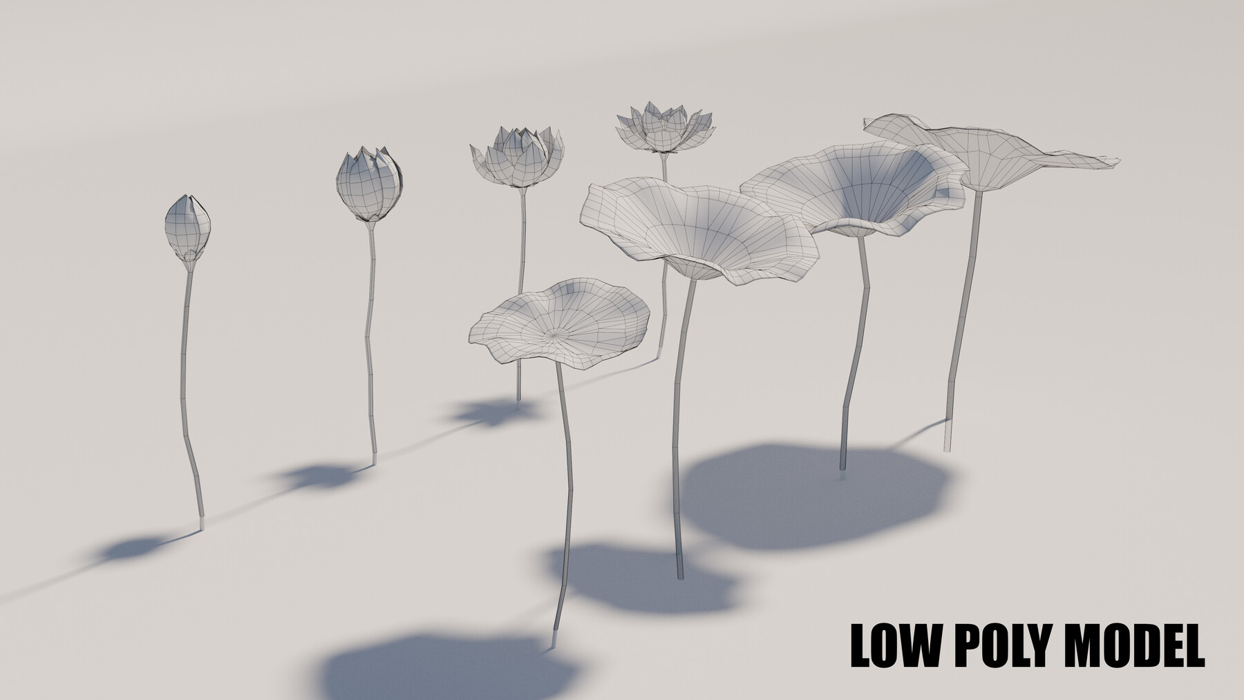 ArtStation - Realistic Lotus model | Resources