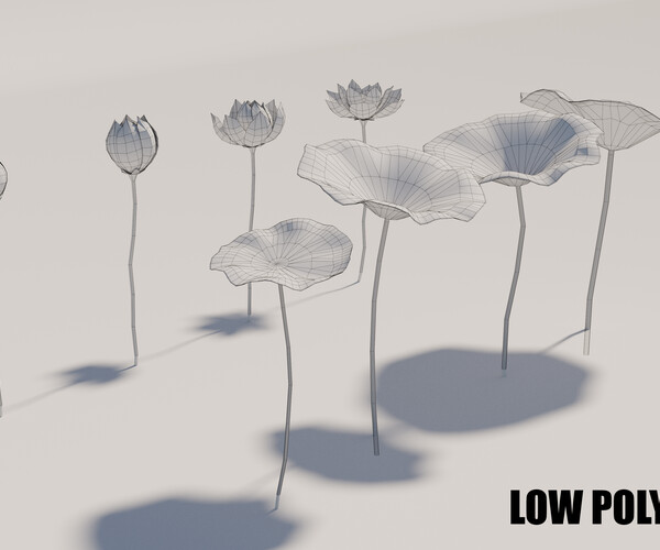 ArtStation - Realistic Lotus model | Resources
