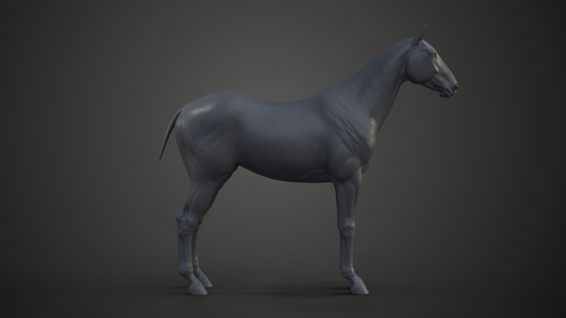 ArtStation - 3D Animal | Horse Model | Resources