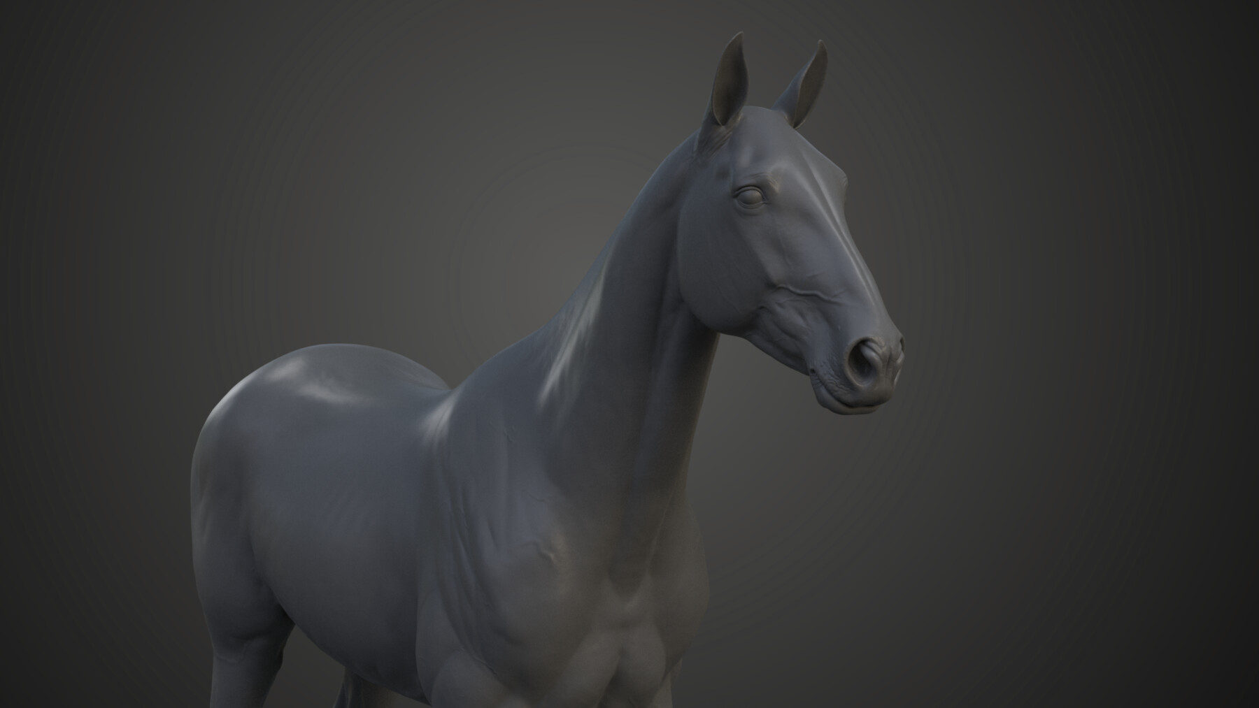 ArtStation - 3D Animal | Horse Model | Resources