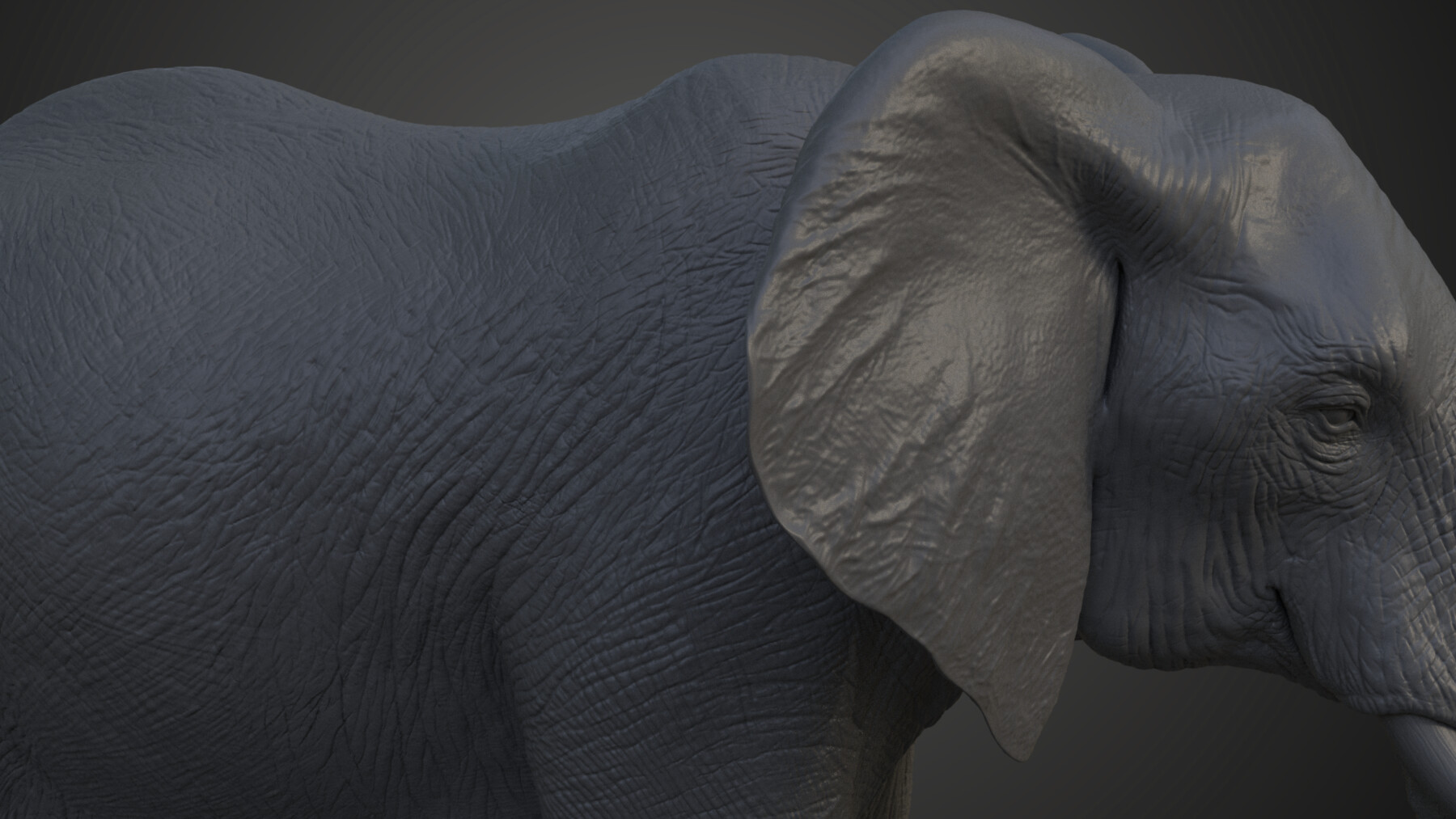 ArtStation - 3D Animal | African Elephant | Resources