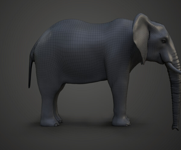 ArtStation - 3D Animal | African Elephant | Resources