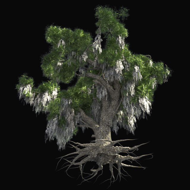 ArtStation - Live Oak Tree | Game Assets