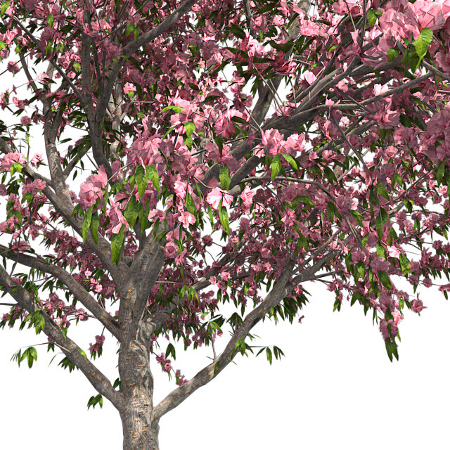 ArtStation - Peach Flowers Tree | Game Assets