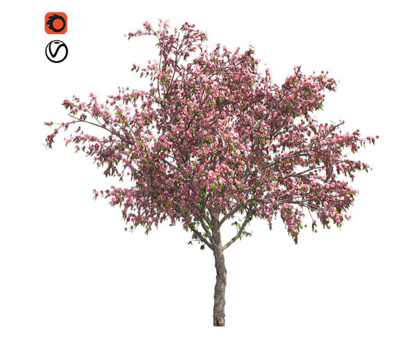 ArtStation - Peach Flowers Tree | Game Assets