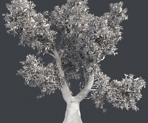 ArtStation - Red Gum Tree | Resources