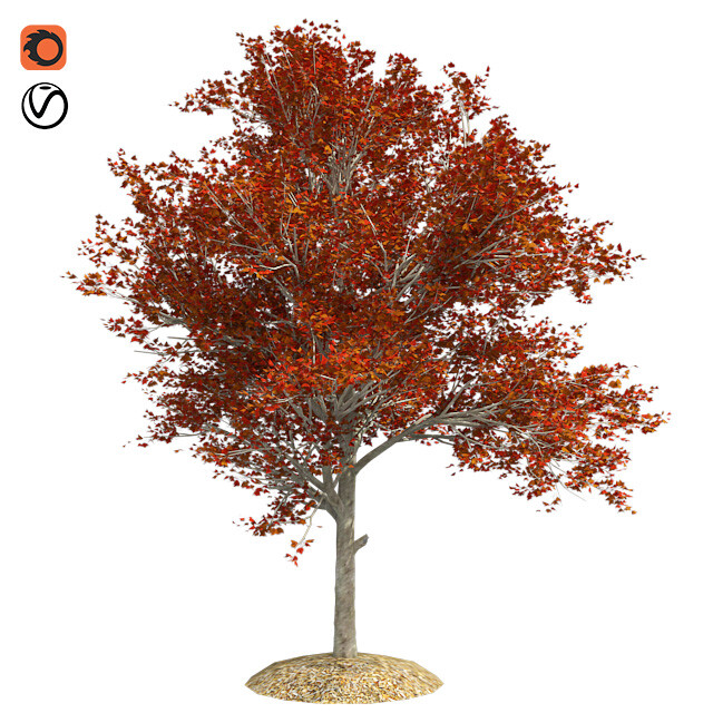 ArtStation - Red Maple Fall Tree | Resources