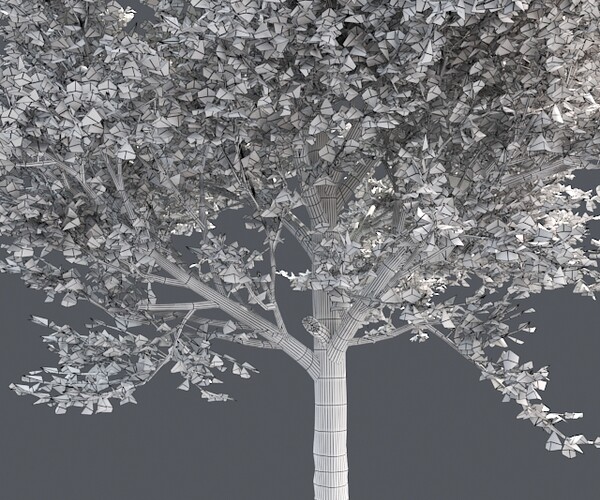 ArtStation - Red Maple Fall Tree | Resources