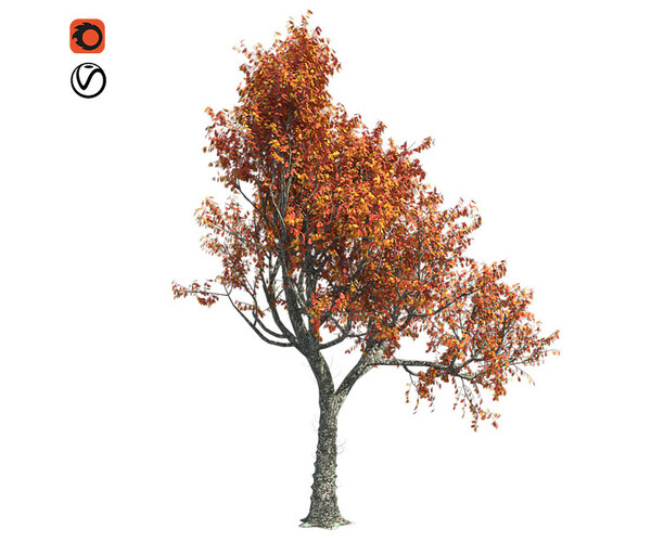ArtStation - Red Oak Fall Tree | Game Assets