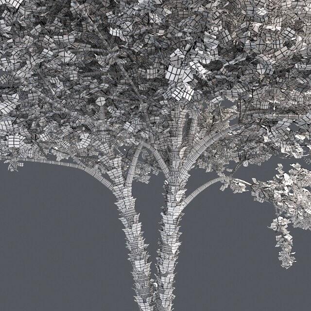 ArtStation - River Birch Tree | Game Assets