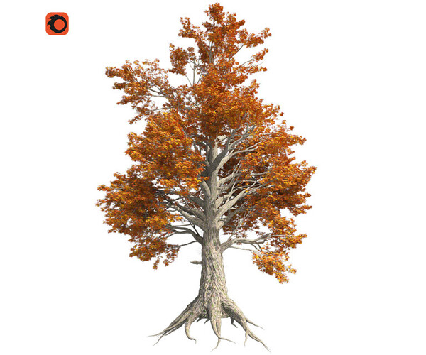 ArtStation - Sassafras Fall Tree | Game Assets