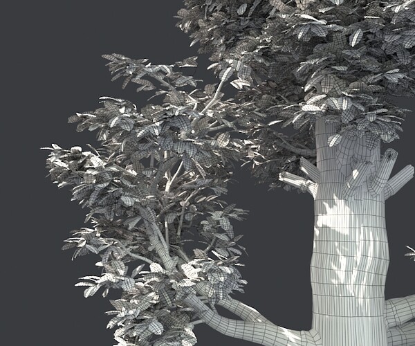 ArtStation - Giant Red wood Tree | Resources