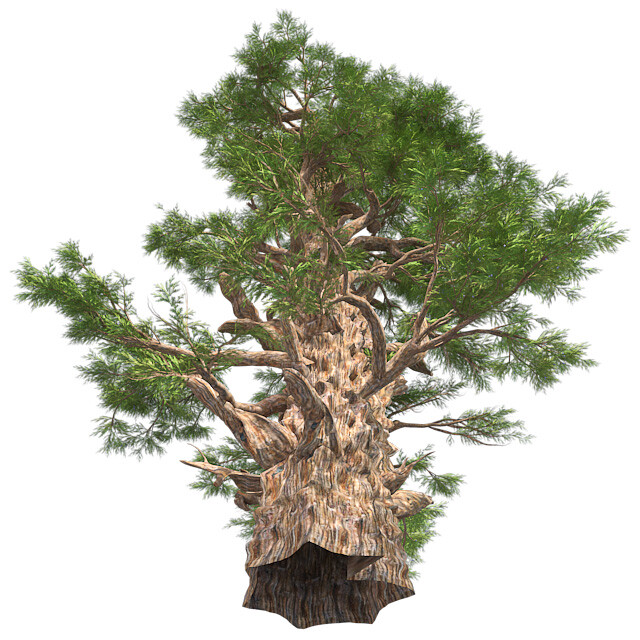 ArtStation - Western Juniper Tree | Resources
