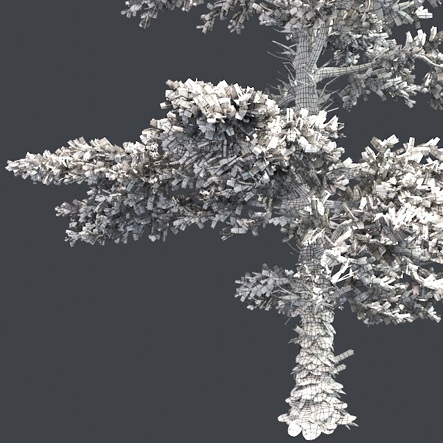 ArtStation - White Fir Tree | Game Assets
