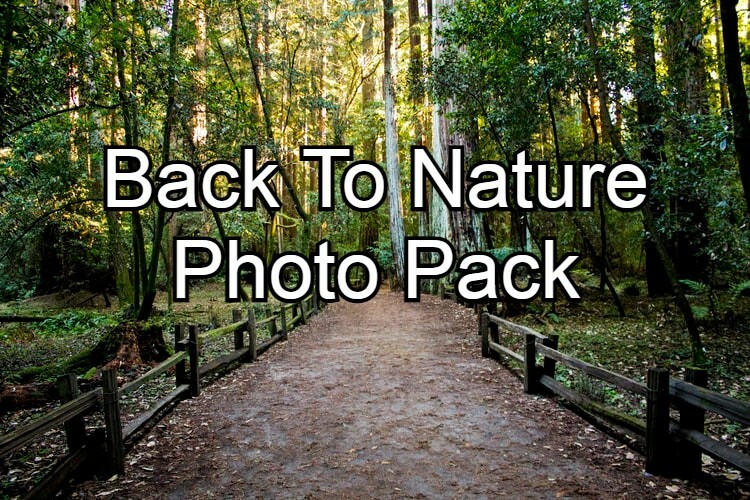 ArtStation - Nature Photo Pack | Resources