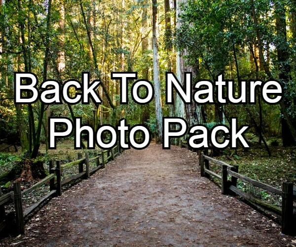 ArtStation - Nature Photo Pack | Resources