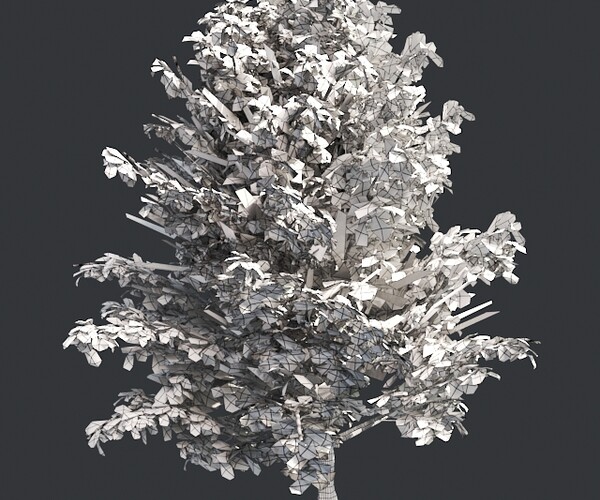 ArtStation - American Holly Shrub Tree | Game Assets