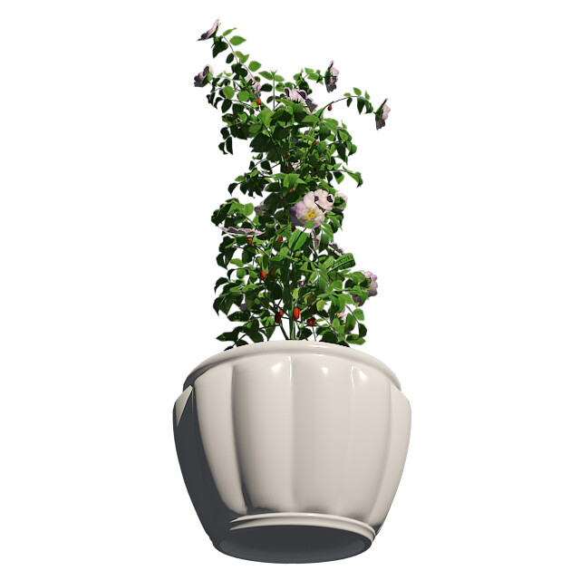 ArtStation - Dog Rose in Pot | Game Assets