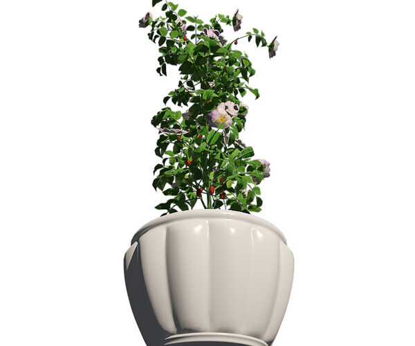 ArtStation - Dog Rose in Pot | Game Assets