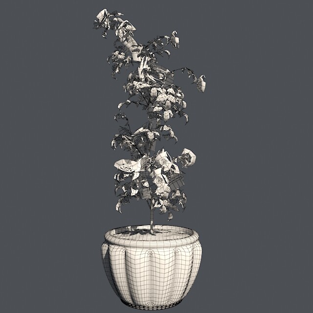 ArtStation - Dog Rose in Pot | Game Assets