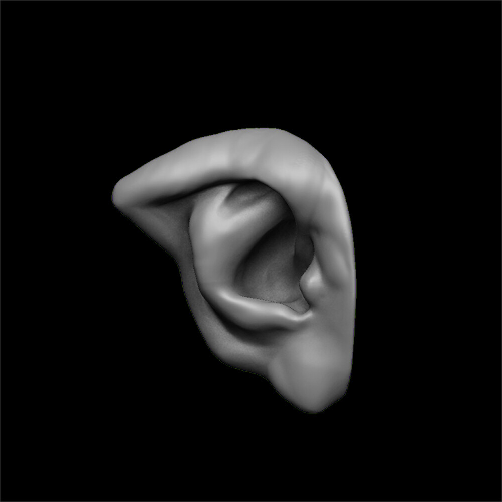 ArtStation - ears 3D model with high poly and low poly | Game Assets