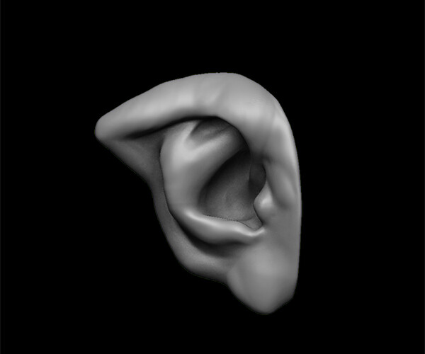ArtStation - ears 3D model with high poly and low poly | Game Assets