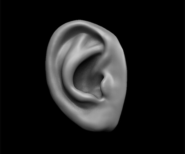 ArtStation - ears 3D model with high poly and low poly | Game Assets