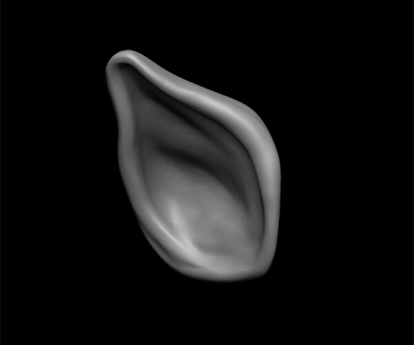 ArtStation - ears 3D model with high poly and low poly | Game Assets