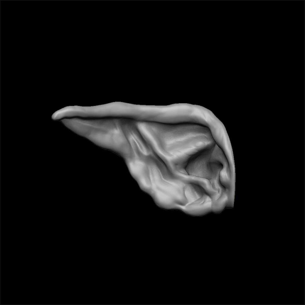 ArtStation - ears 3D model with high poly and low poly | Game Assets