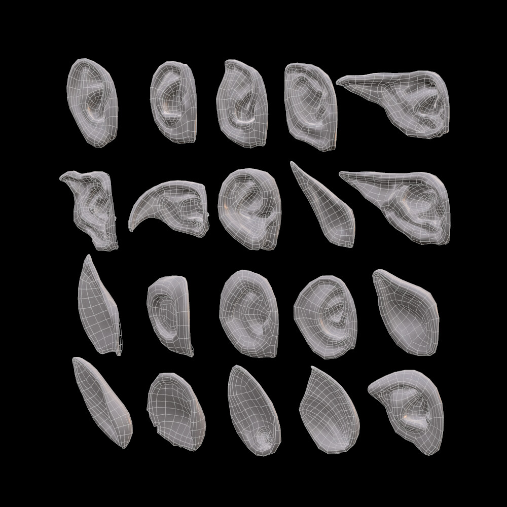 ArtStation - ears 3D model with high poly and low poly | Game Assets