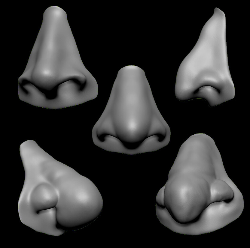 ArtStation - 20 Noses with high poly and low poly 3D model | Resources